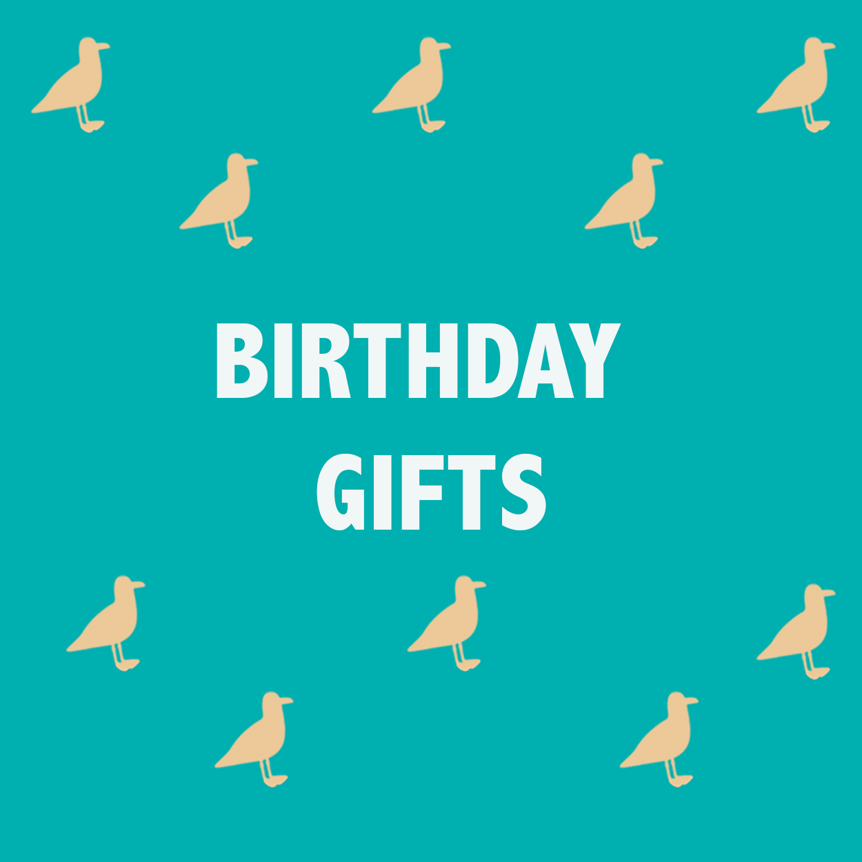 Meet the team - Ellie Ellie