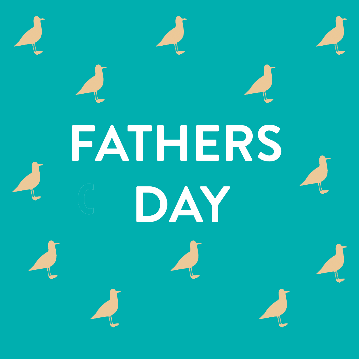 Meet the team - Ellie Ellie